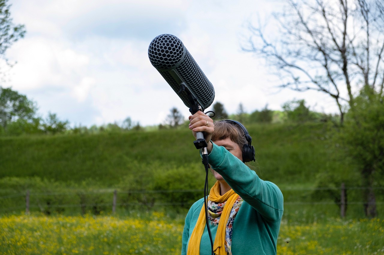 Die Wiesen-Symphonie - Oberland.de