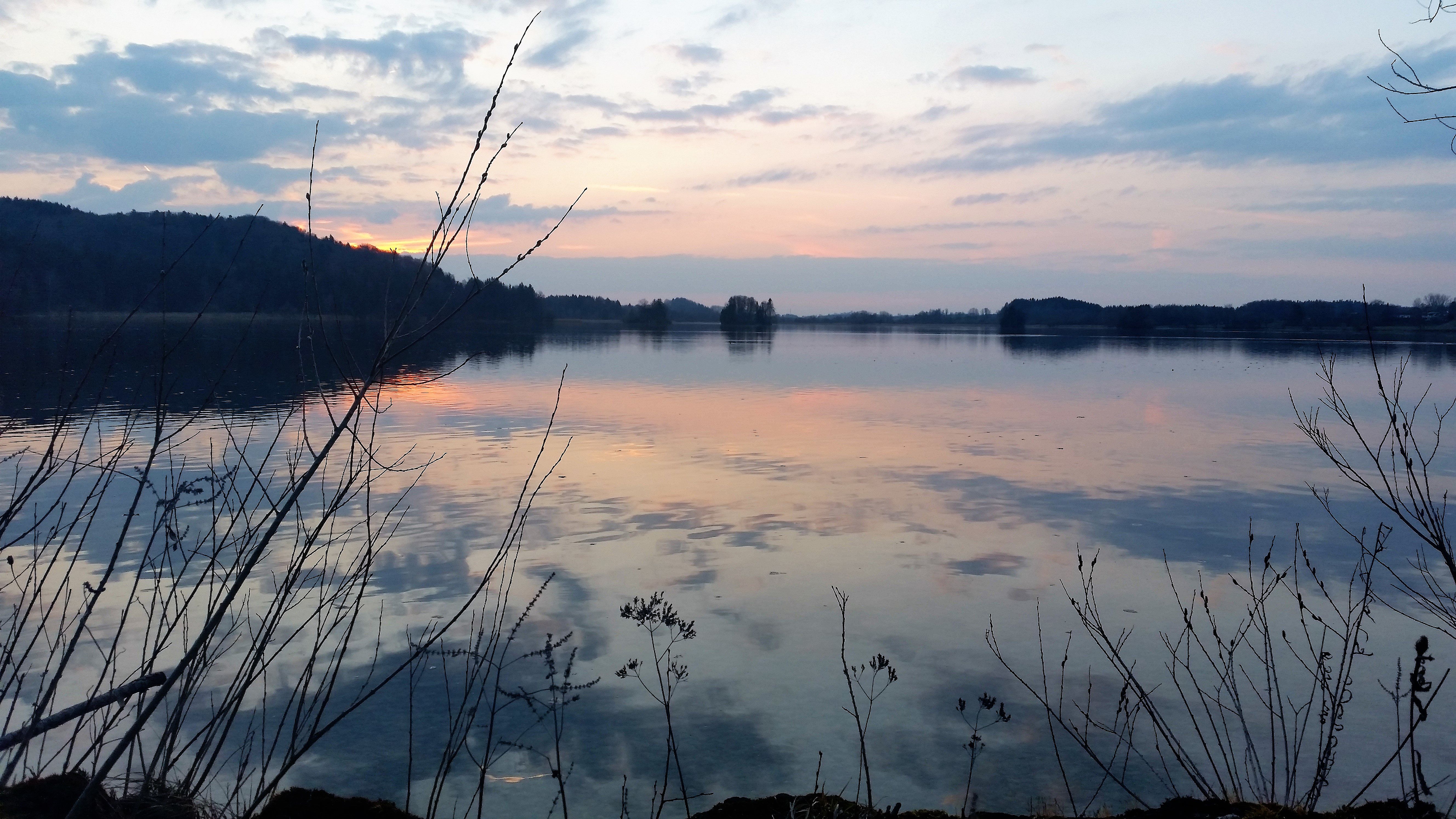 Naturparadies am Seehamer See - Oberland.de